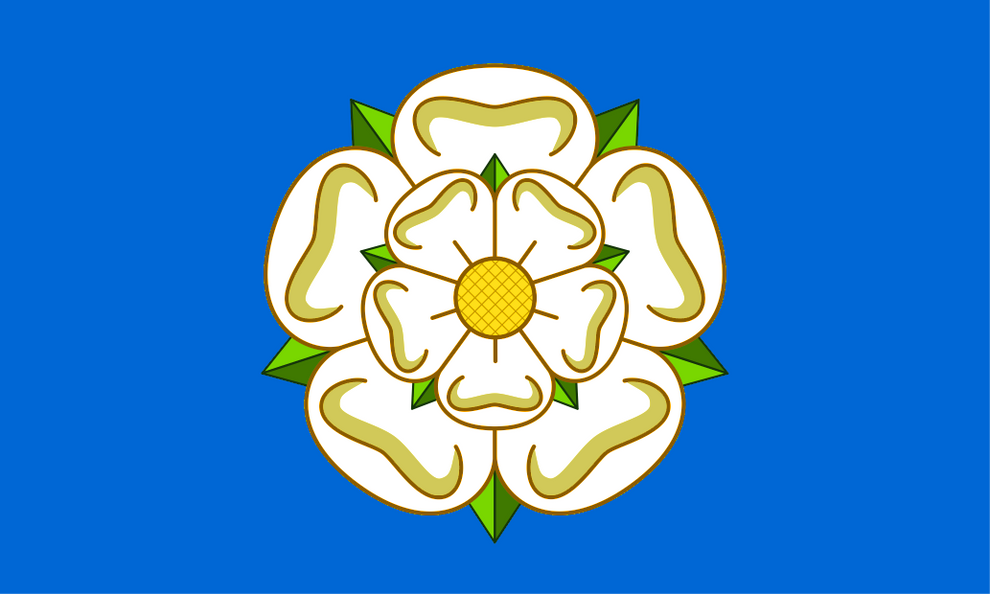Printed Yorkshire County Flag | Buy Online at Piggotts